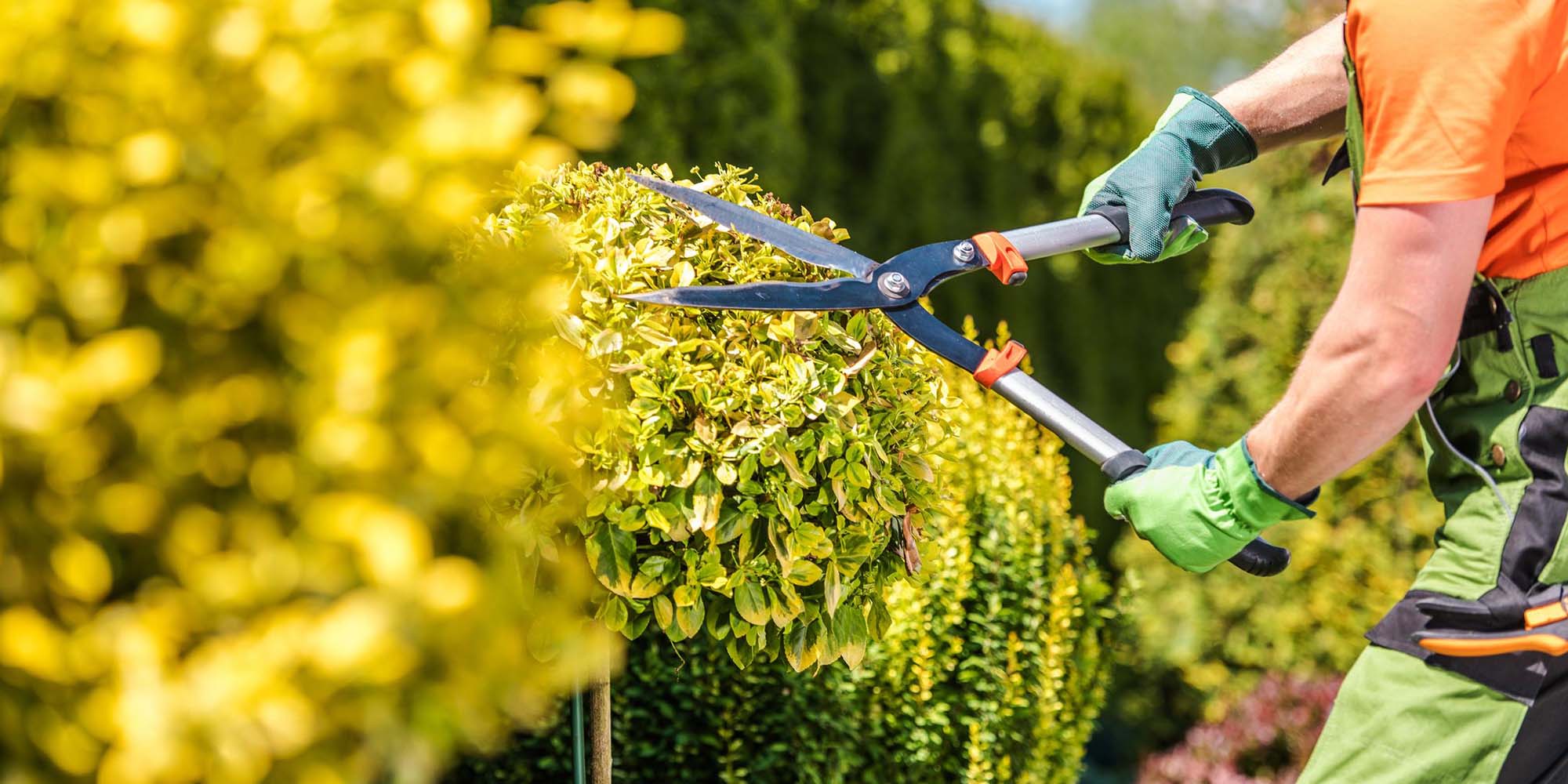 Mitigating landscaping hazards - protecting workers from common risks