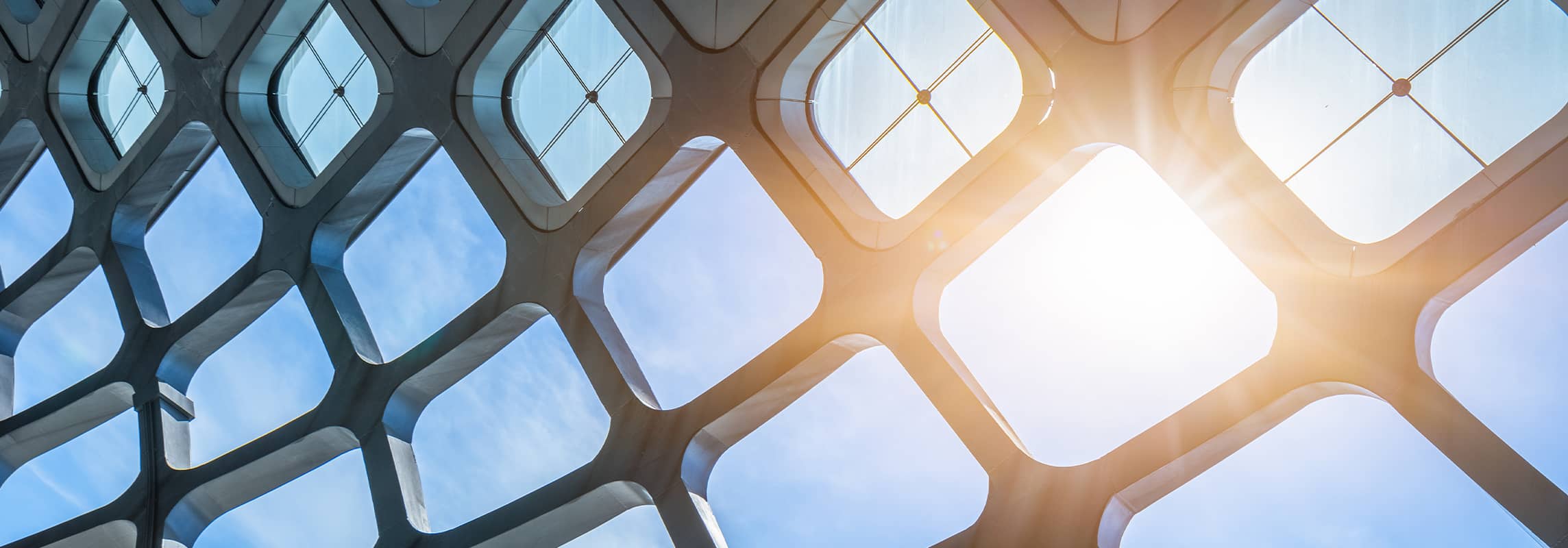 US Specialty Insurance | Markel