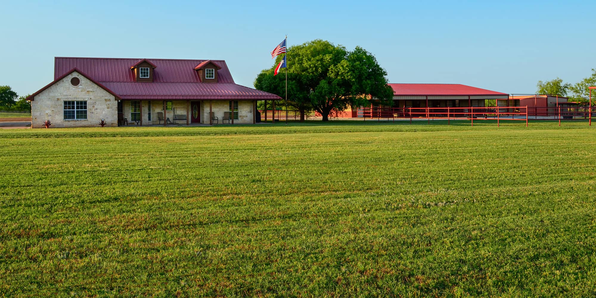 Horse Mortality Insurance | Markel