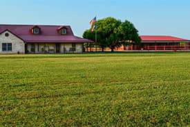 Horse and Farm Insurance | Markel