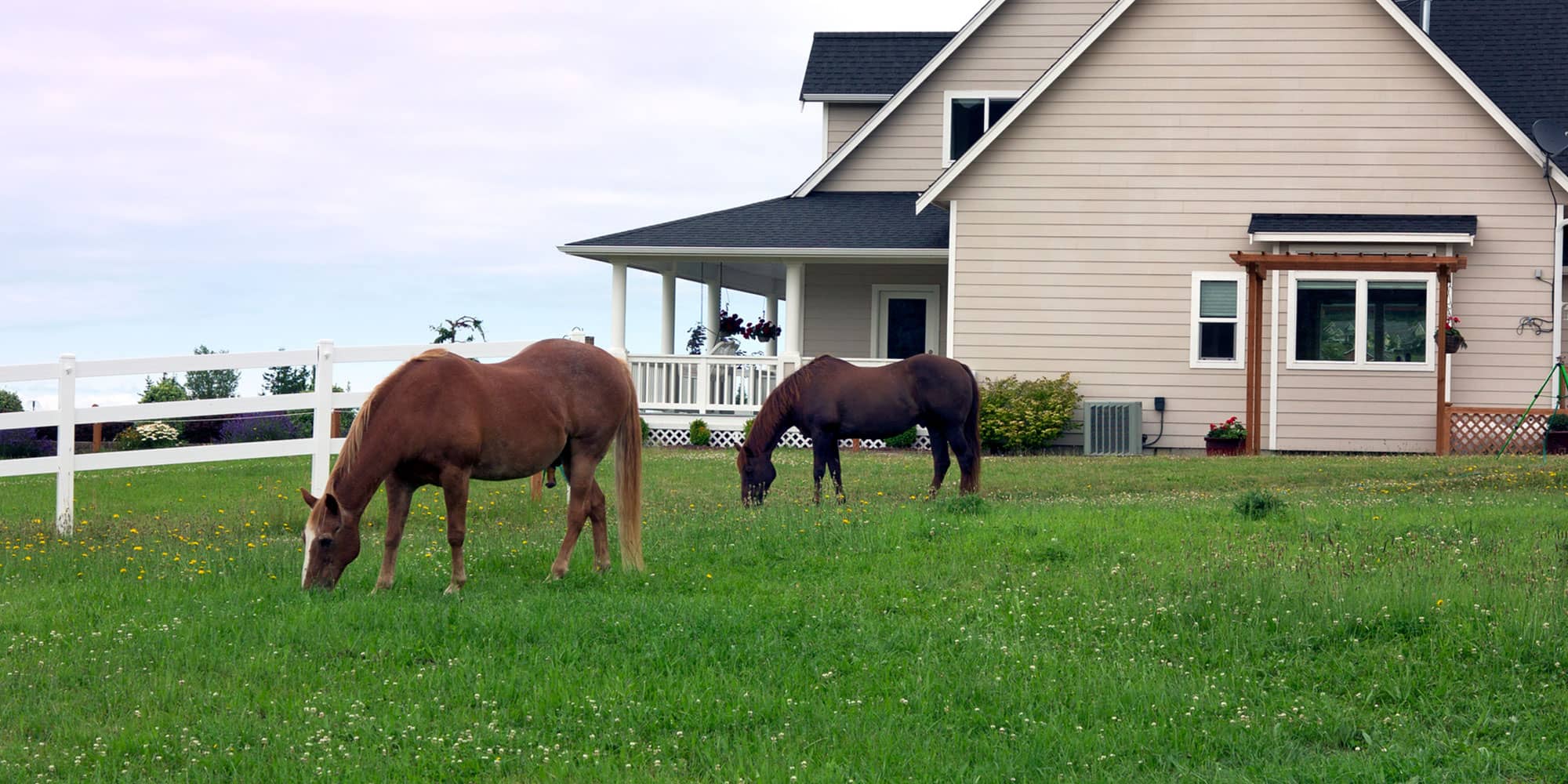 Horse Farm and Ranch Insurance | Markel